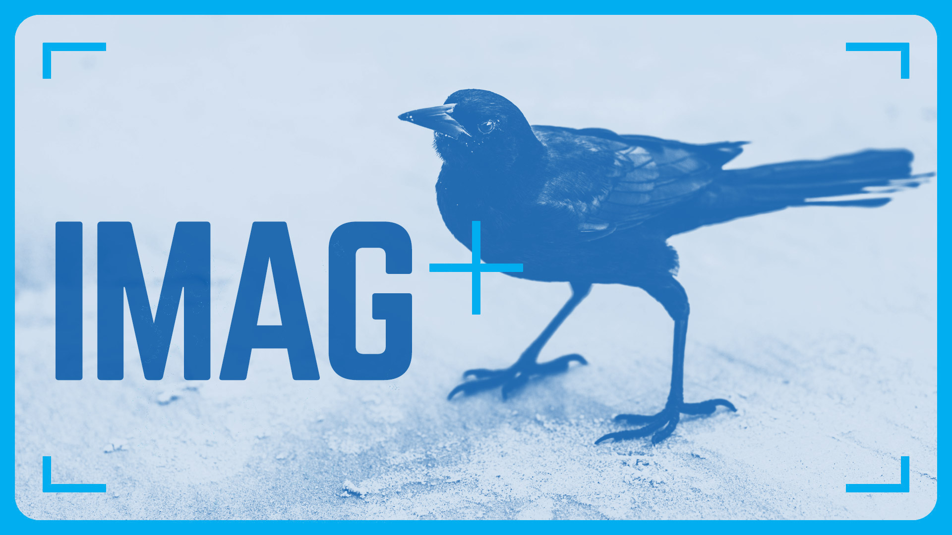 Tips For Optimizing IMAG and Video Visuals | Bartha Event Agency